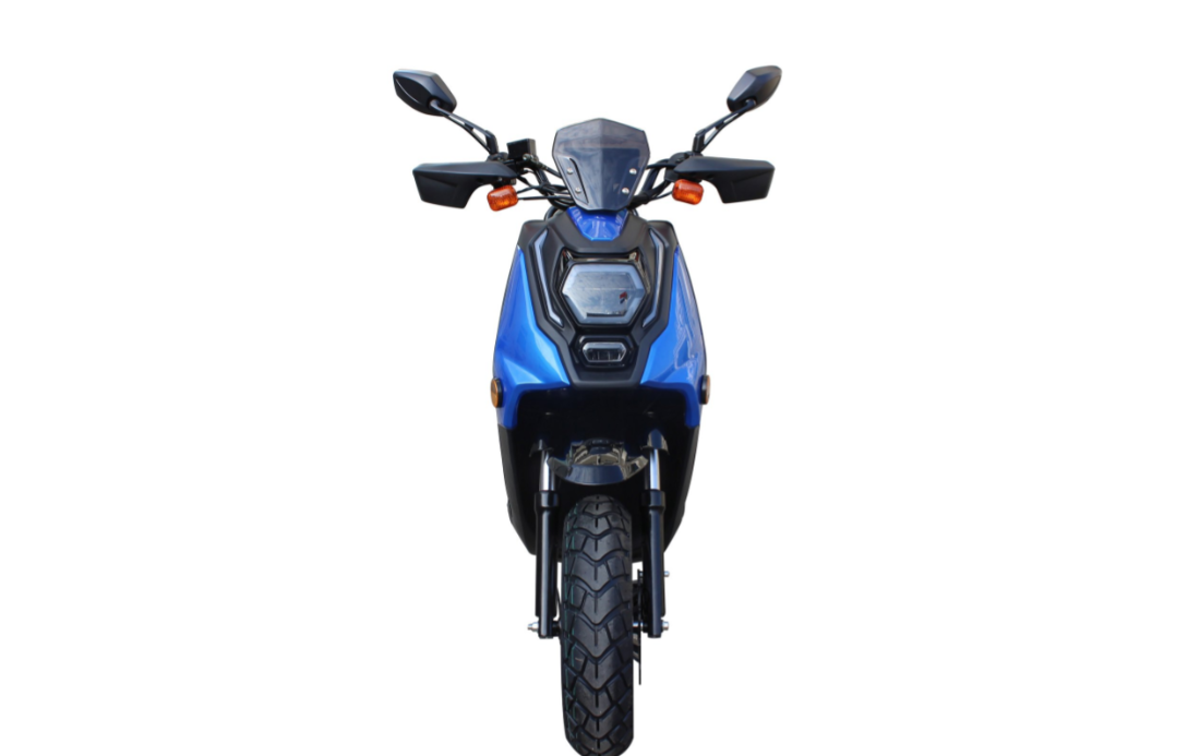 150cc T-Rex – J & Sen Motorsport